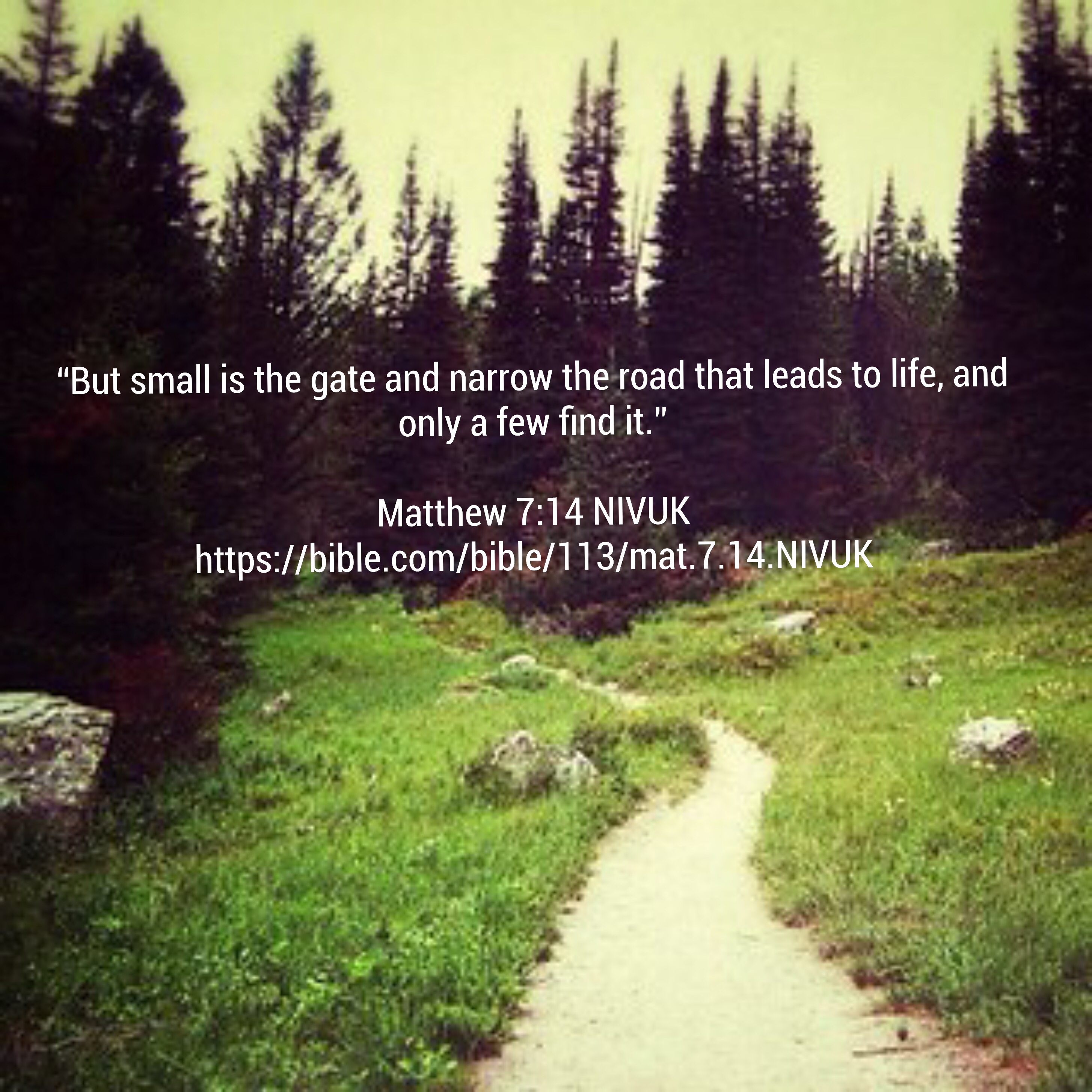 The Narrow Way – Vickie's Book Nook and Meditation Corner