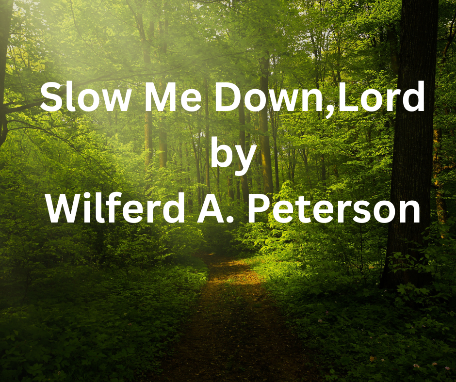 Slow Me Down – Vickie's Book Nook and Meditation Corner