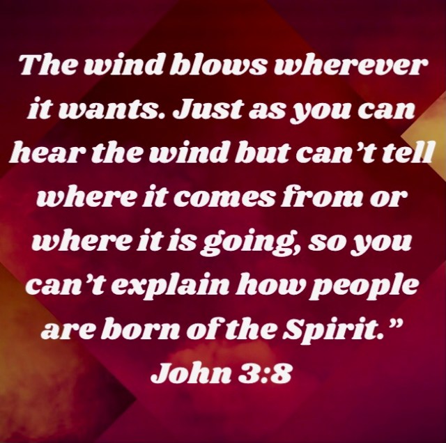 Blowing Wind – Vickie's Book Nook and Meditation Corner