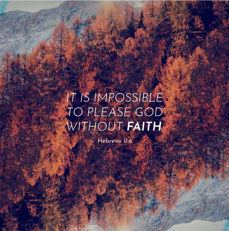 Building Your Faith – Vickie's Book Nook and Meditation Corner